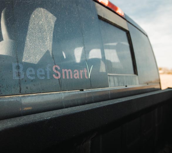 BeefSmart Consulting Inc.